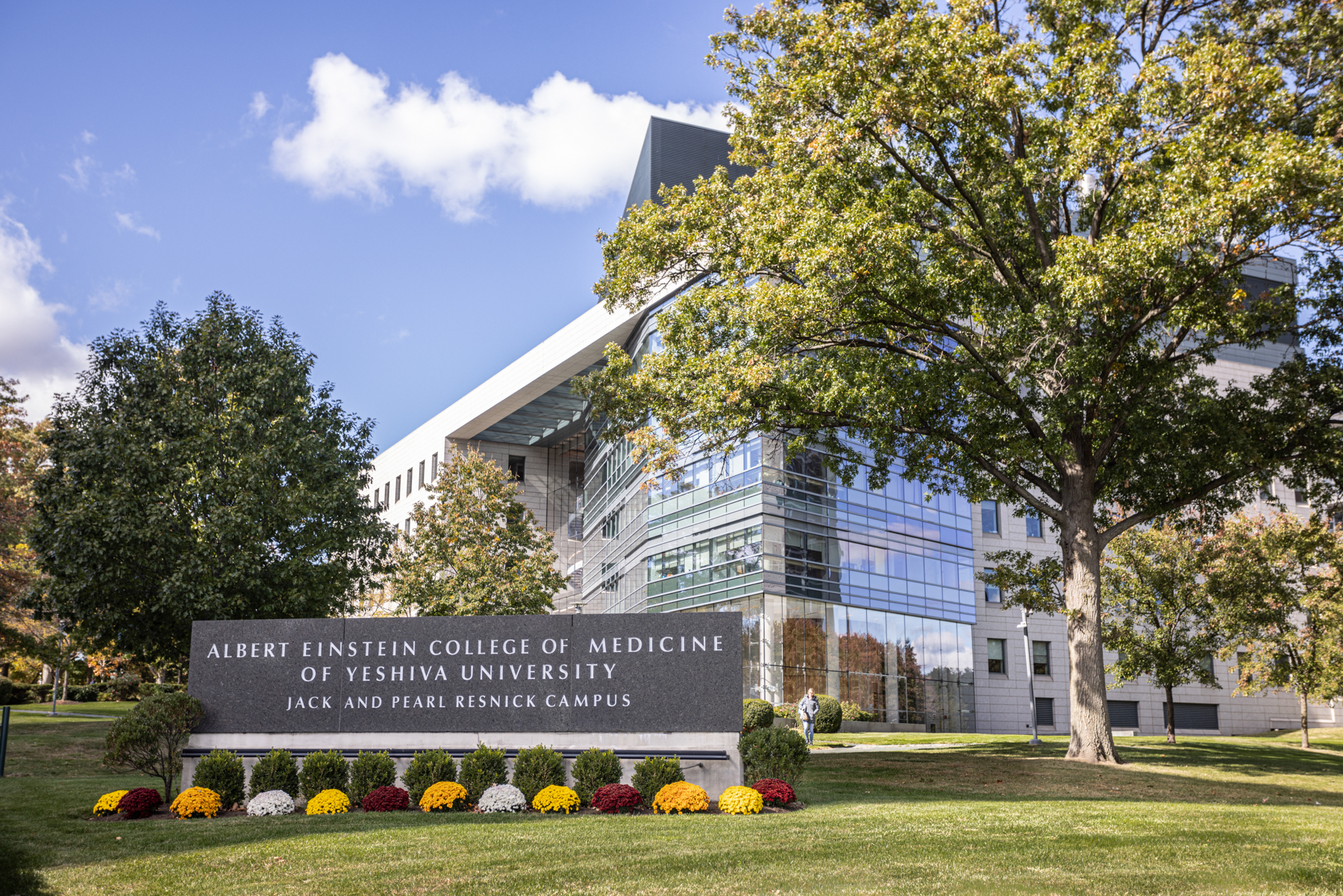 Overview | Career and Professional Development for Graduate Students ...